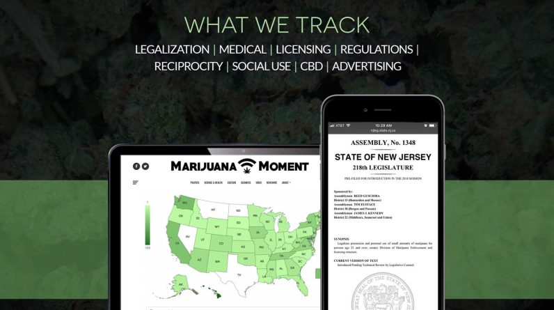 New York Governor Unveils Marijuana Retailer QR Code Verification ...